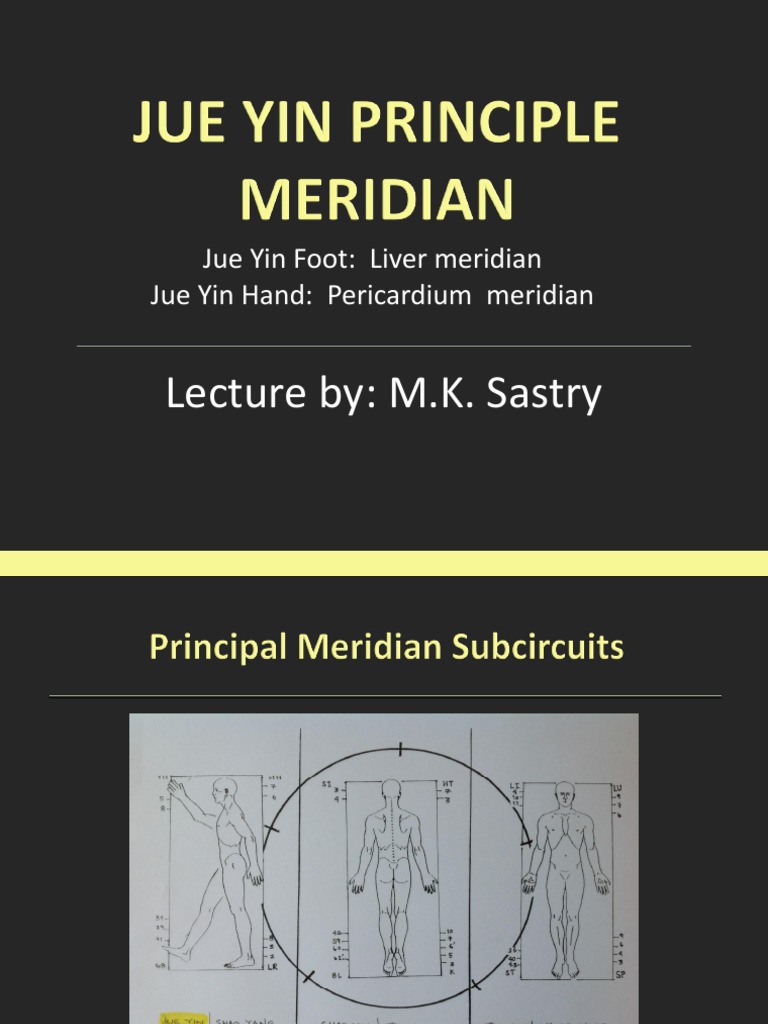 Jue Yin Principle Meridian | PDF | Foot | Anatomical Terms Of Location