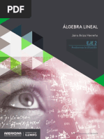 Examen A Titulo de Suficiencia de Algebra Lineal 2021 A. Tipo 2 | PDF