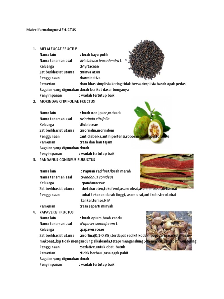 Jenis-Jenis Fructus dalam Farmakognosi | PDF | Sains & Matematika
