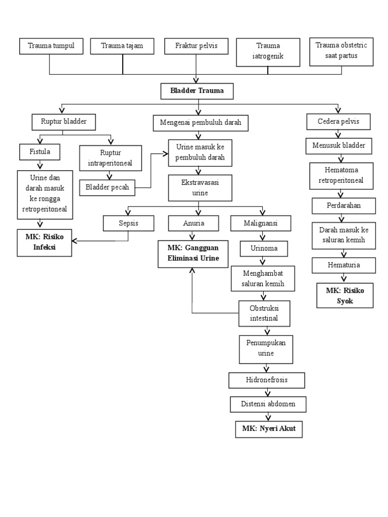 Woc Bladder Trauma | PDF