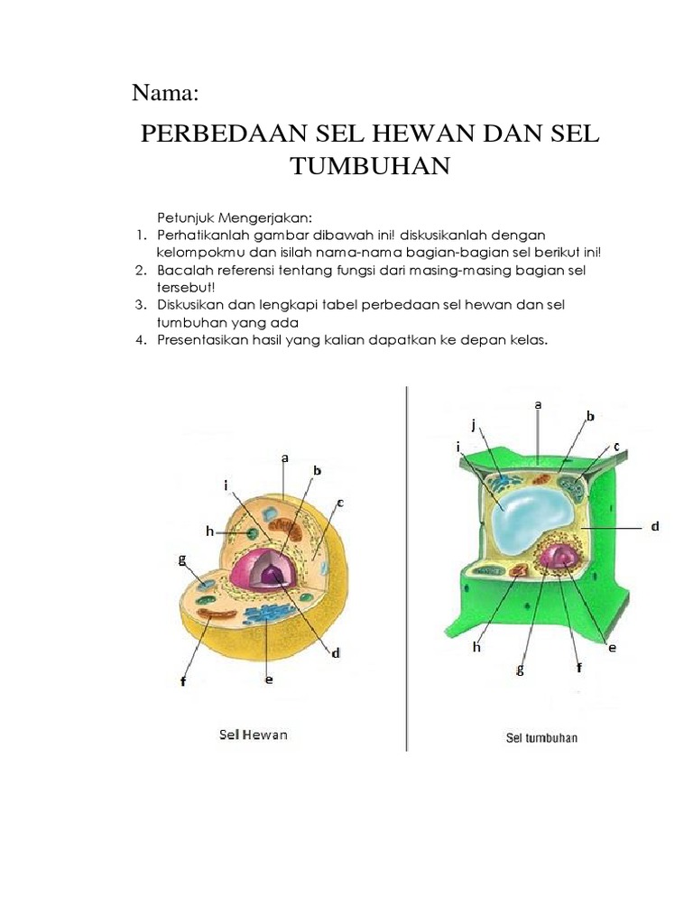 LKPD Perbedaan Sel Hewan Dan Sel Tumbuhan | PDF
