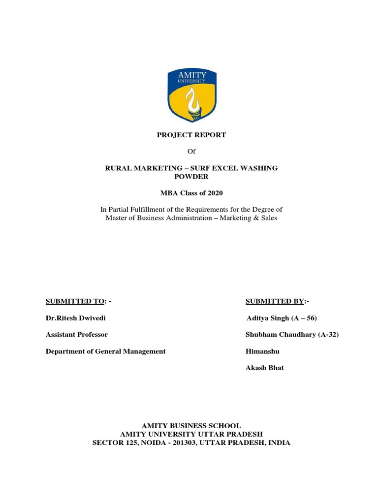 Surf Excel | PDF | Market Segmentation | Brand