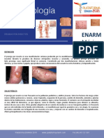 CAPÍTULO 17 - Prurigo Por Insectos (Cimiciasis) | PDF | Insecticida ...