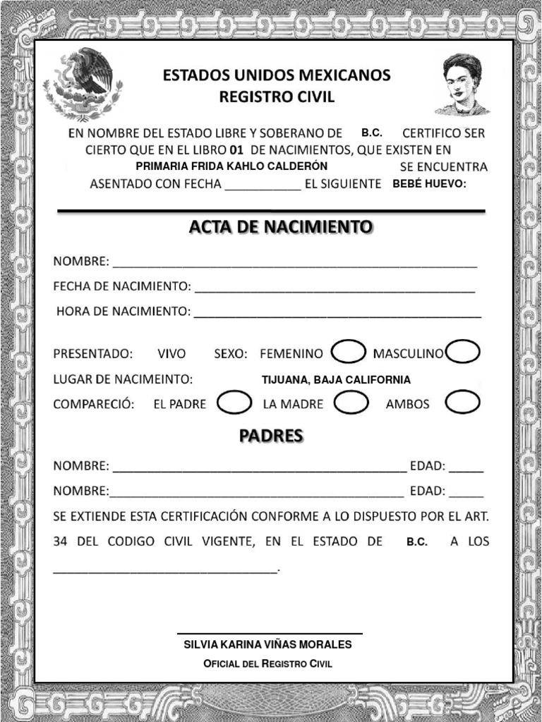 Acta De Nacimiento Oficial En Blanco Cómo Sacar El Acta De Nacimiento