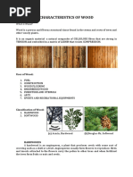 Trees Used for Paper Production | PDF | Pulp (Paper) | Paper