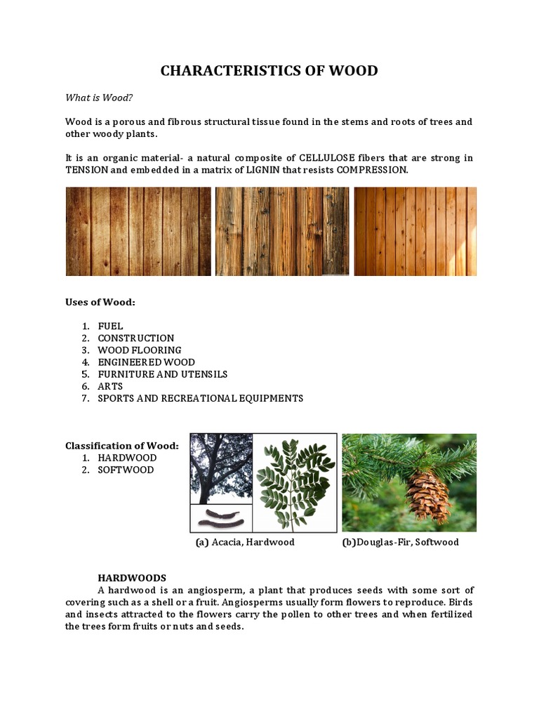 Characteristics of Wood Explained | PDF | Hardwood | Wood