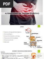 Anatomia, Irrigacion, Inervación Del Esofago y Estomago | PDF ...