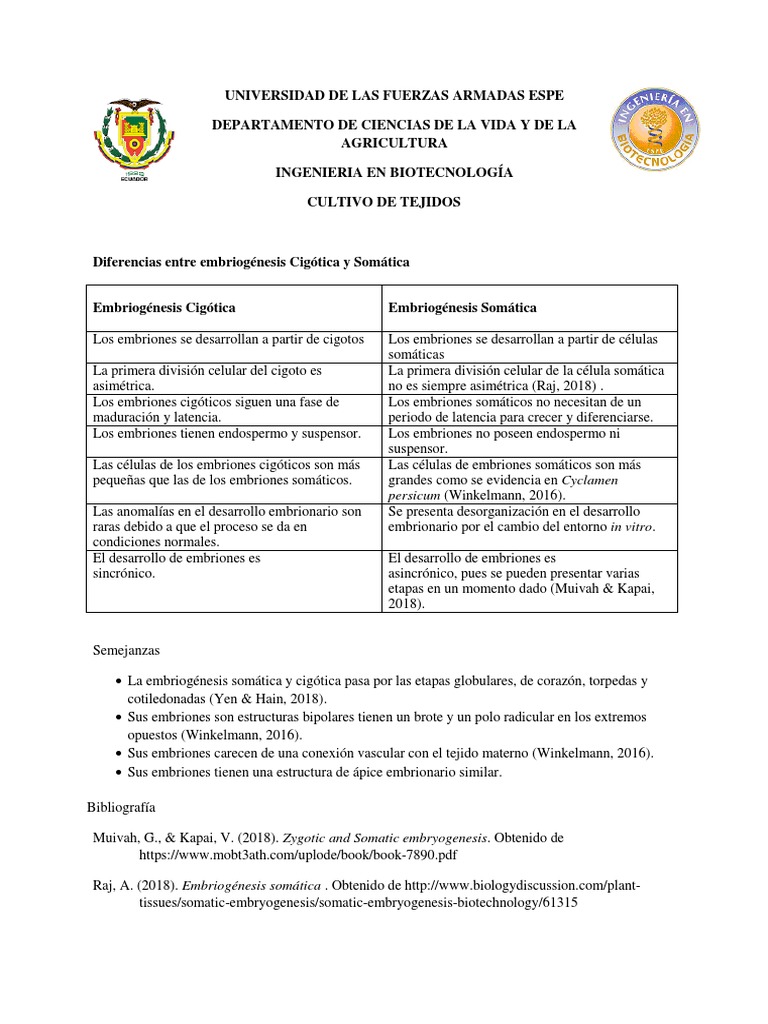Embriogénesis | PDF | Interacciones biológicas | Anatomía