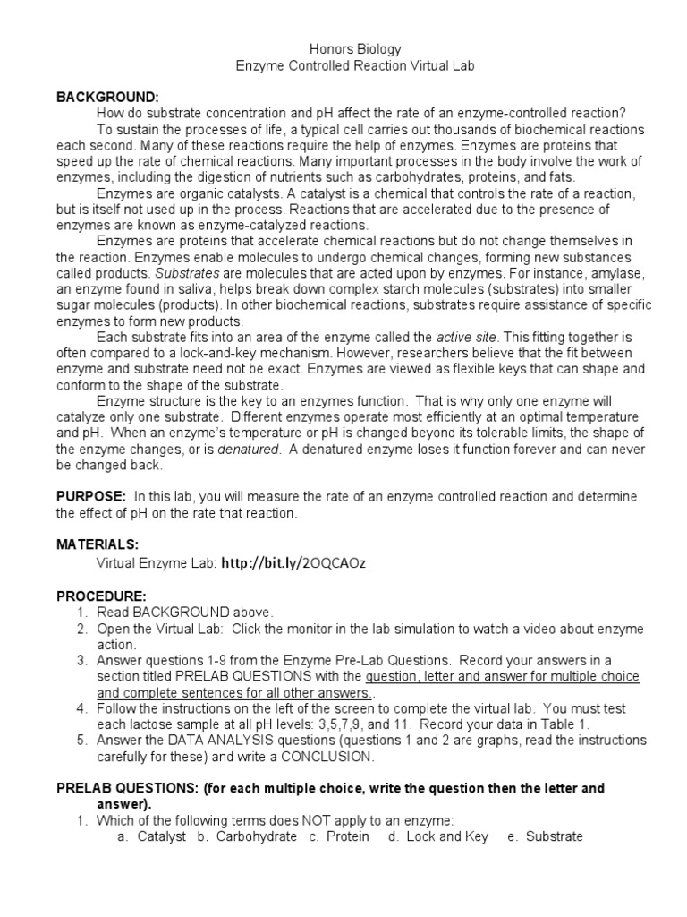 Enzyme Reaction Rate Virtual Lab | PDF | Enzyme | Chemical Reactions