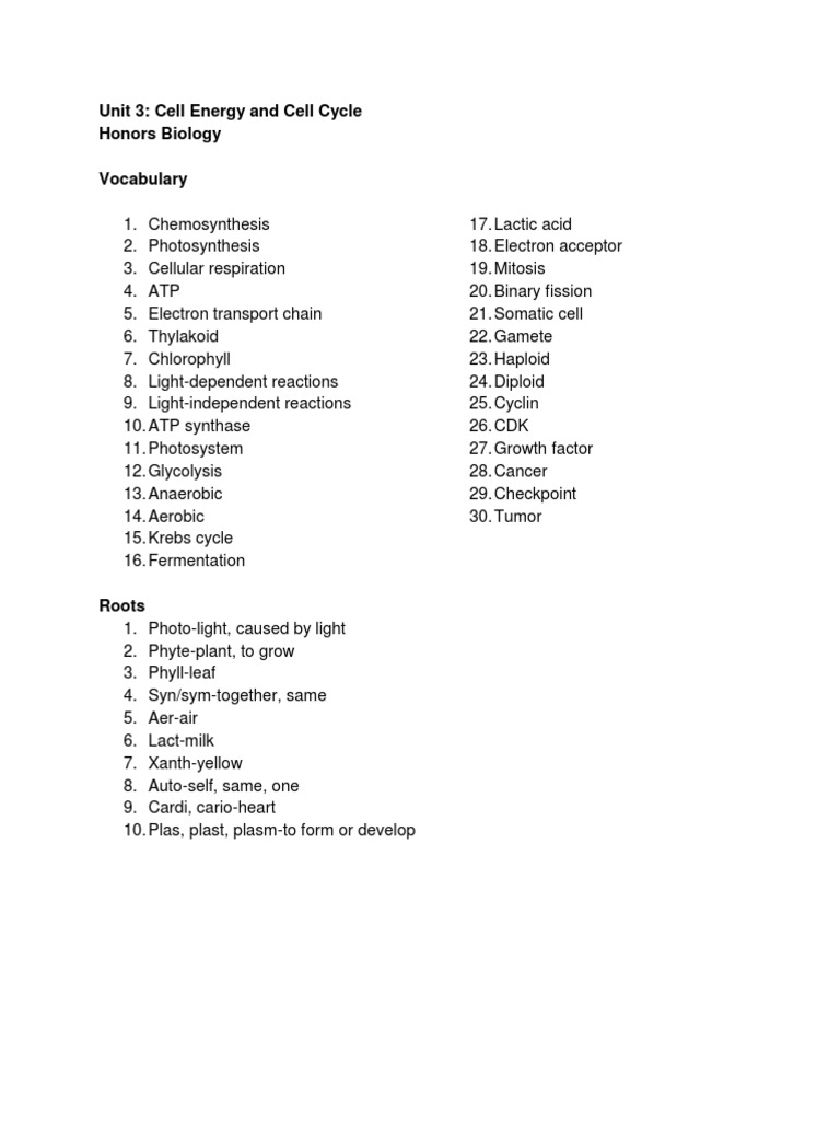 Cell Energy and Cycle Vocabulary Guide | PDF