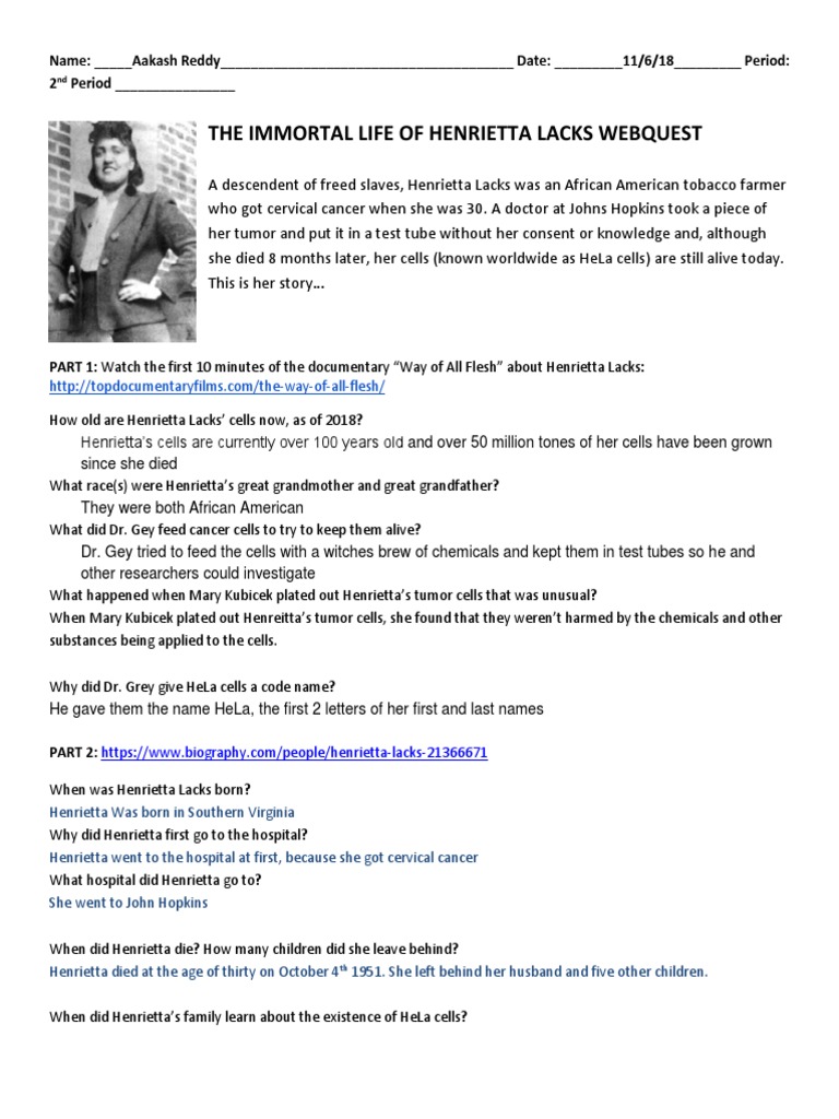 HeLa Cells: Henrietta Lacks' Legacy | PDF | He La | Cancer