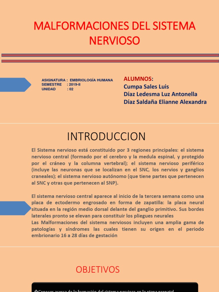 Final Malf. Sist. Nerv. | PDF | Sistema nervioso central | Tálamo