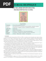 Test de Apercepción Temática TAT | PDF | Validez (Estadísticas ...