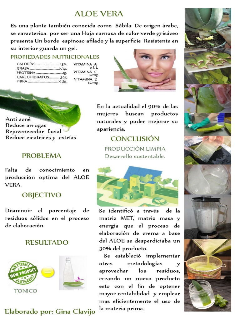 Proyecto Sabila | PDF | Comida y bebida | Naturaleza