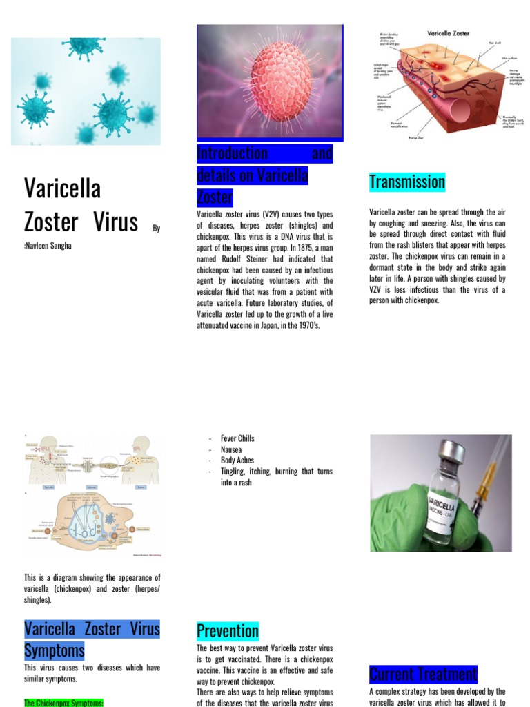 Varicella Zoster Virus Overview | PDF | Herpes Simplex | Diseases And ...
