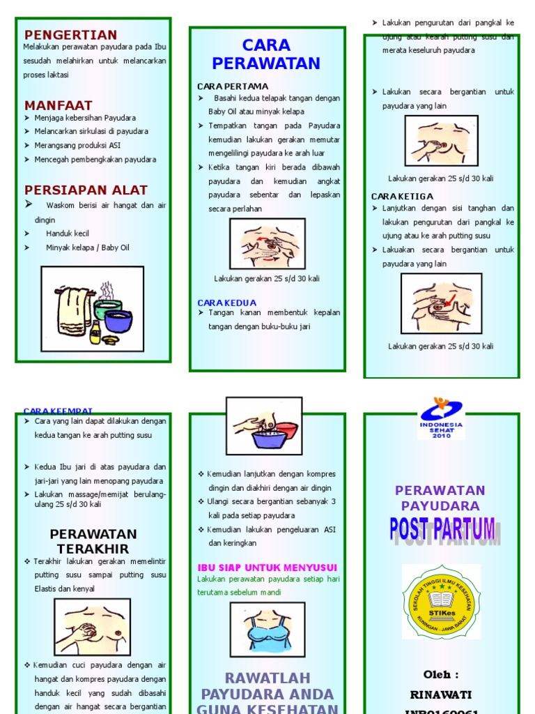 Leaflet Perawatan Payudara Post Partum | PDF