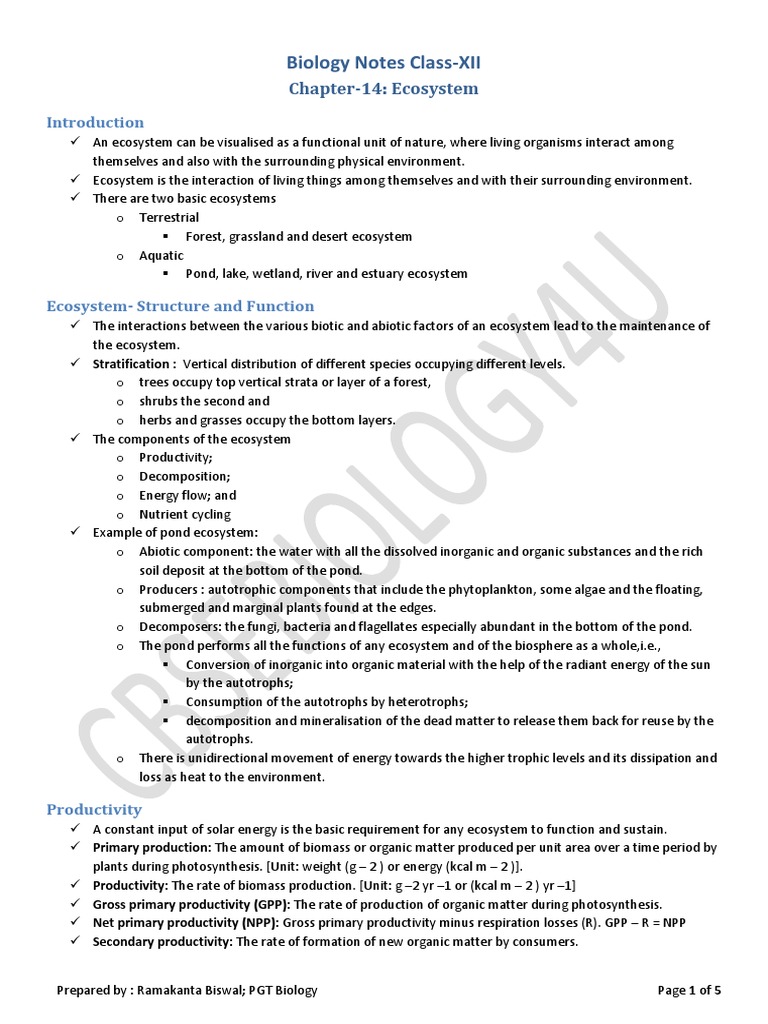 Class XII Biology Notes on Ecosystems | PDF | Food Web | Biomass (Ecology)