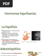 Función y Efectos de la Motilina | PDF | Diarrea | Intestino delgado