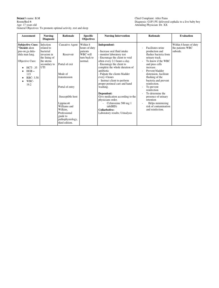 Post-Partum Care Plan NCP | Urinary Tract Infection | Postpartum Period