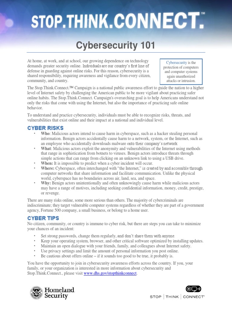 Cybersecurity 101: Cyber Risks | PDF | Computer Security | Security