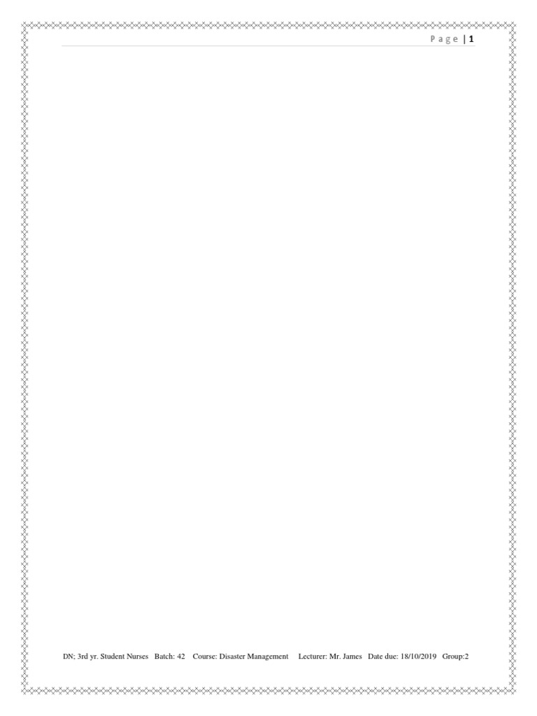 Disaster Management Assignment 2 | PDF | Emergency Management