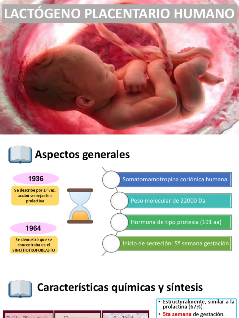 Lactógeno Placentario Humano | PDF | Placenta | Hormona de crecimiento