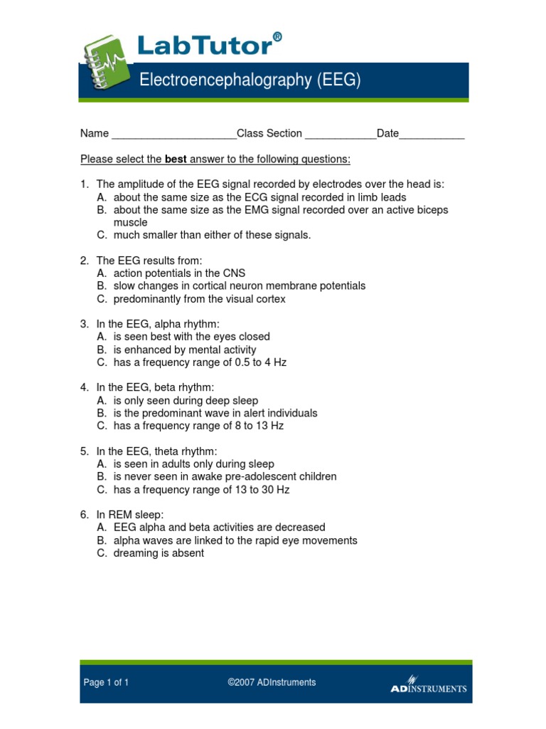 EEG Quiz | PDF