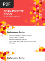 Gram Positive Cocci Flow Chart | PDF | Streptococcus | Prokaryote