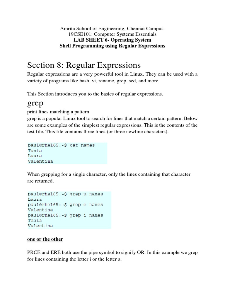 Lab Sheet 6 | PDF | Regular Expression | Computer File