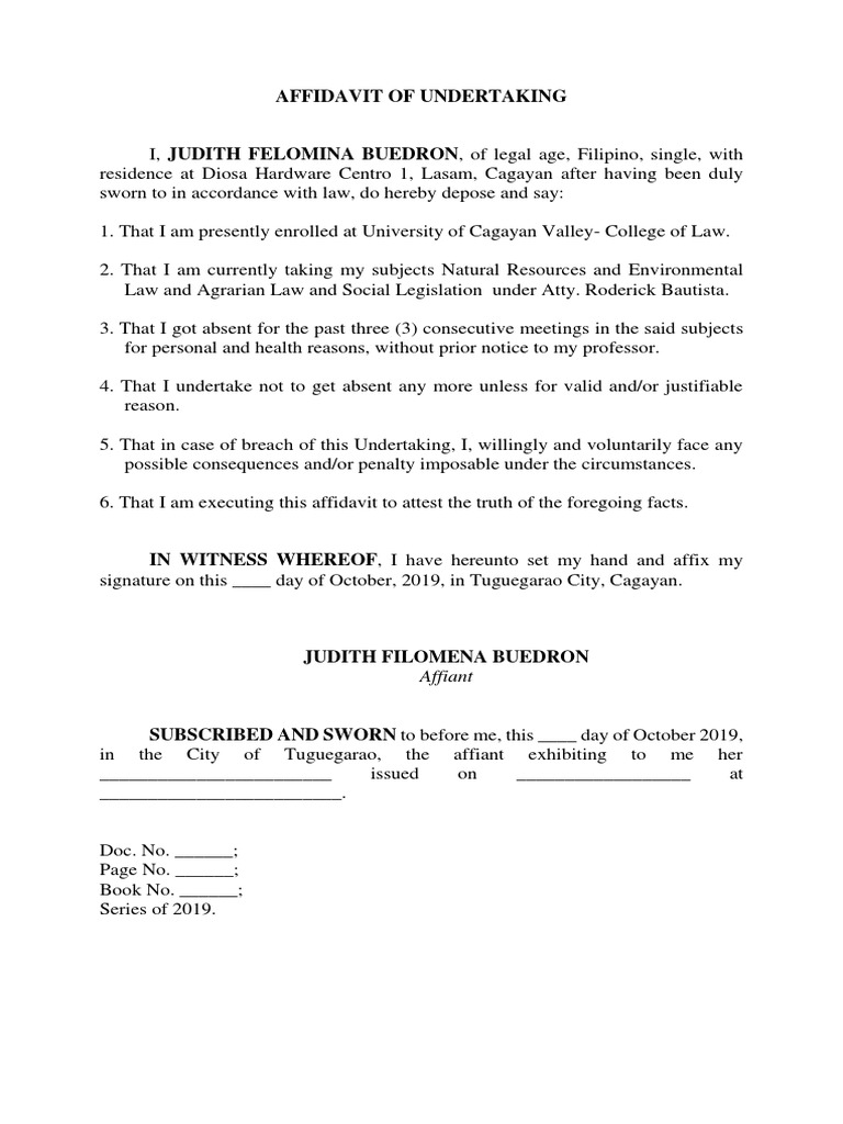 Affidavit of Undertaking | PDF