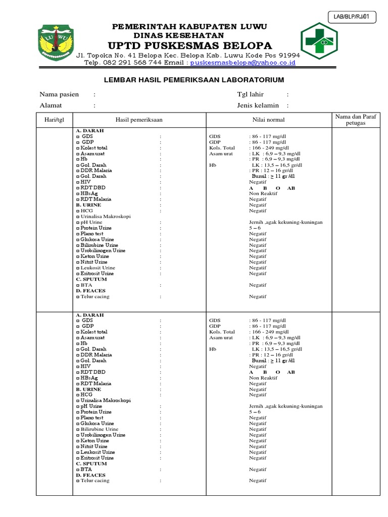 Lembar Hasil Pemeriksaan Laboratorium | PDF