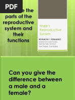 Evidence-based Homoeopathy_ a Case of Acute Paraphimosis With Bal | PDF ...