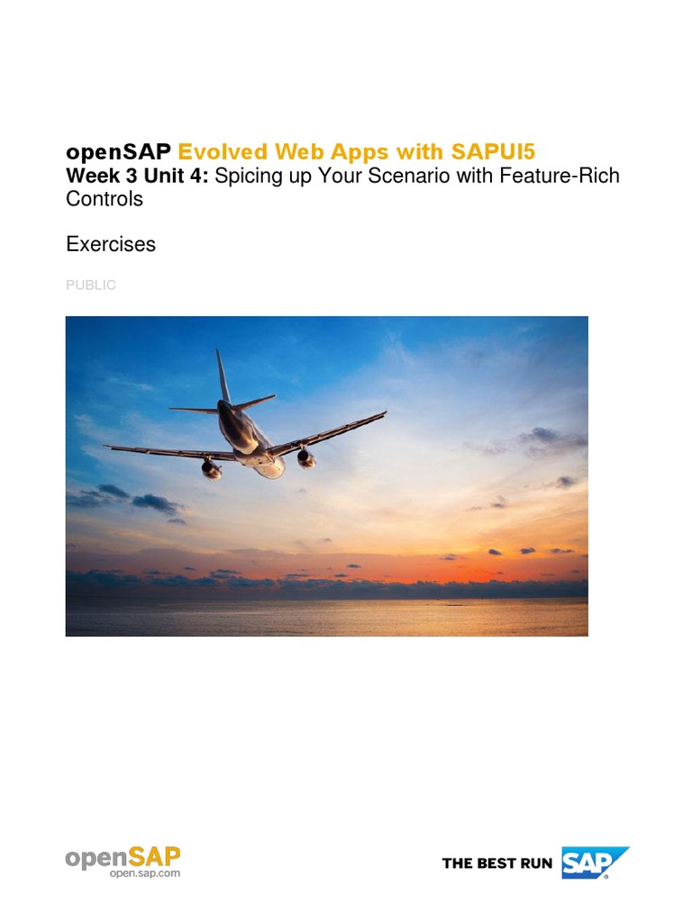 SAP Exercises | PDF | Web Application | Parameter (Computer Programming)