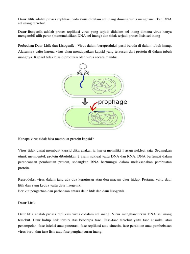 Daur Litik Dan Lisogenik | PDF
