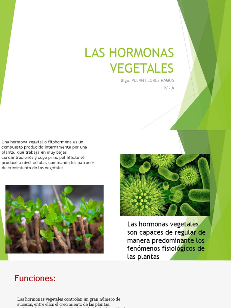 Hormonas Vegetales | PDF | Hormona Vegetal | Auxina