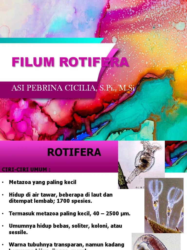 Rotifera | PDF | Ilmu Sosial | Griya & Taman