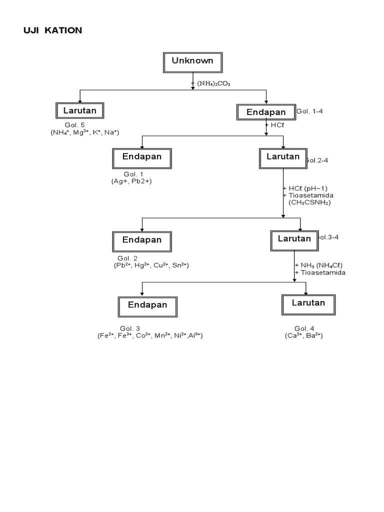 Kation Anion | PDF | Chemical Compounds | Materials