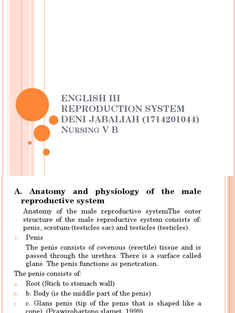 English | PDF | Menstrual Cycle | Testicle