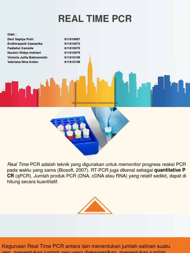 Real Time PCR | PDF