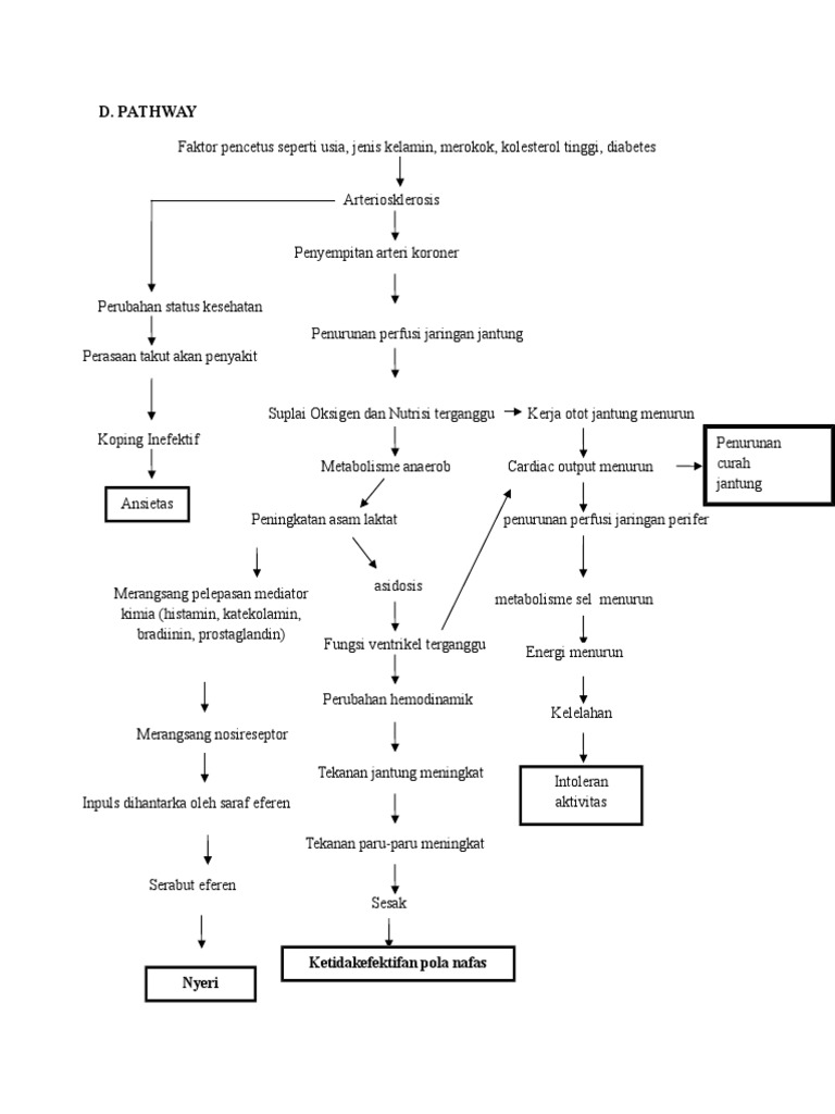 Pathway CAD Dian | PDF