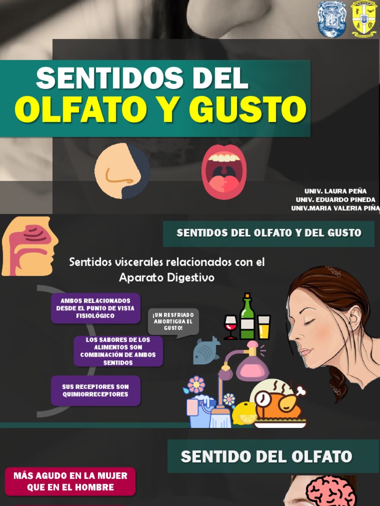 Sentidos Del Gusto y Del Olfato | PDF | Olfato | Gusto