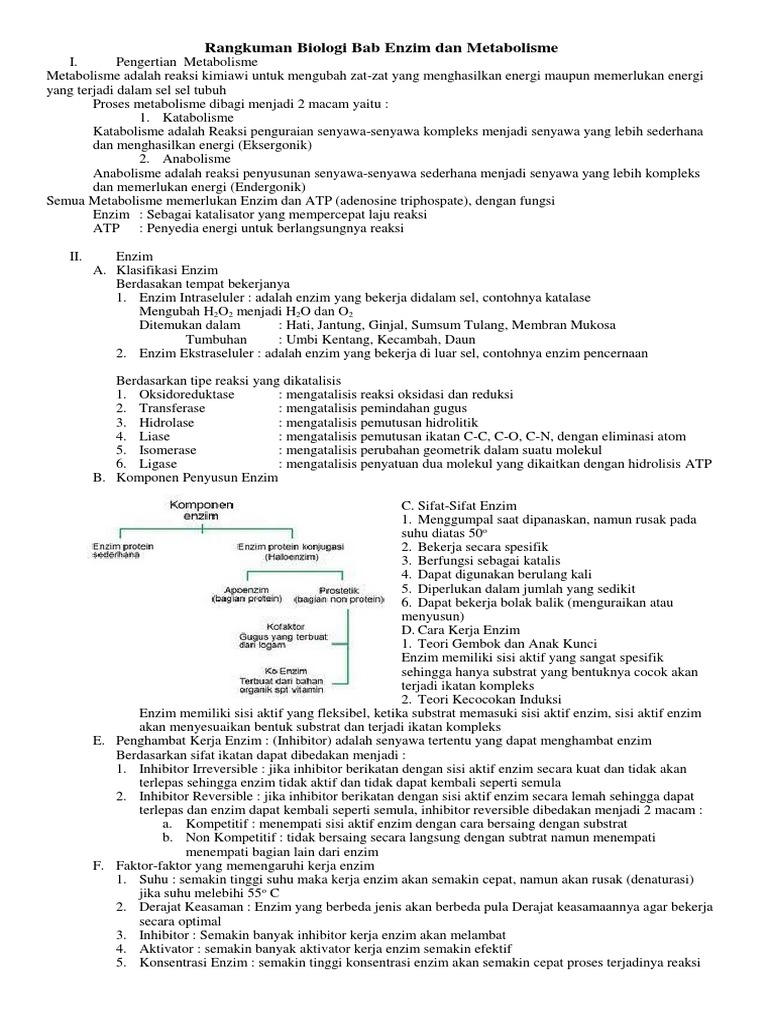 Rangkuman Biologi Bab Enzim Dan Metabolisme | PDF