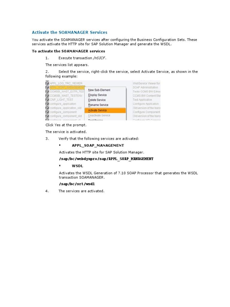 Activating SOAMANAGER Services in SAP | PDF