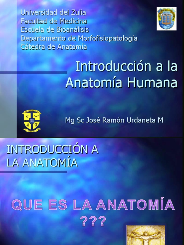 Clase Introduccion A La Anatomia Pdf Anatomía Cuerpo Humano