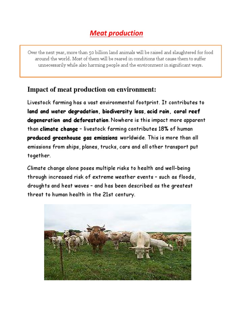 Impact of Meat Production On Environment | PDF