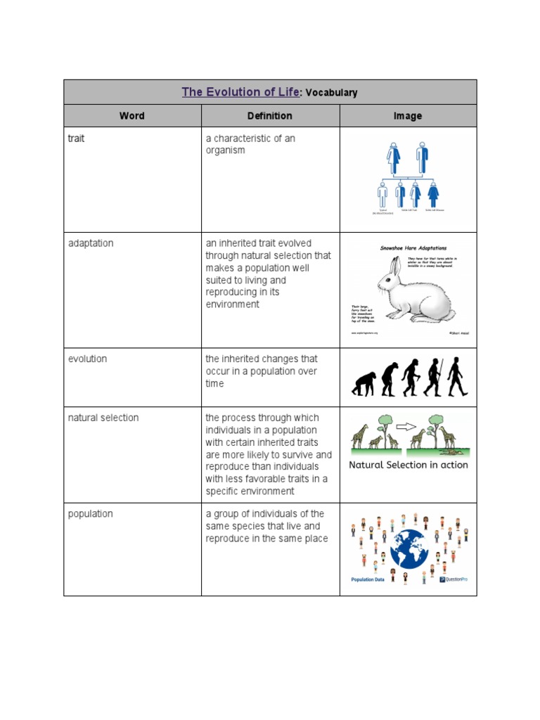 Francesca Sanchez Ramirez - The Evolution of Life Vocabulary 1 | PDF