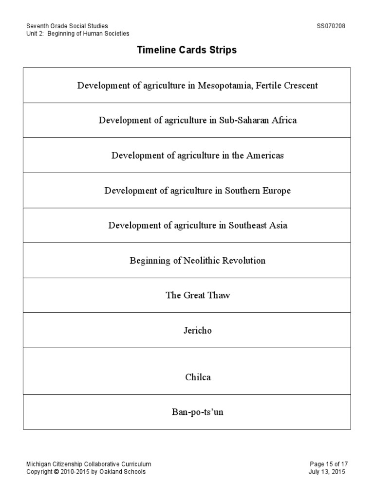 Lesson 8 - Timeline Strips | PDF