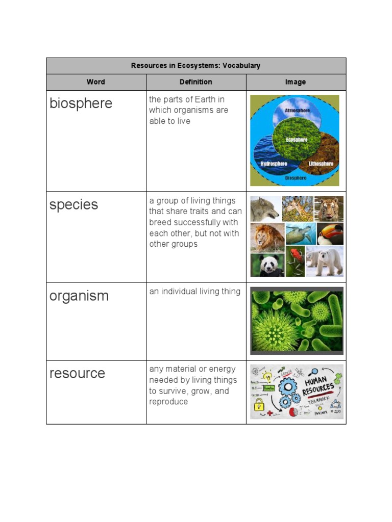 Ecosystem Vocabulary and Definitions | PDF