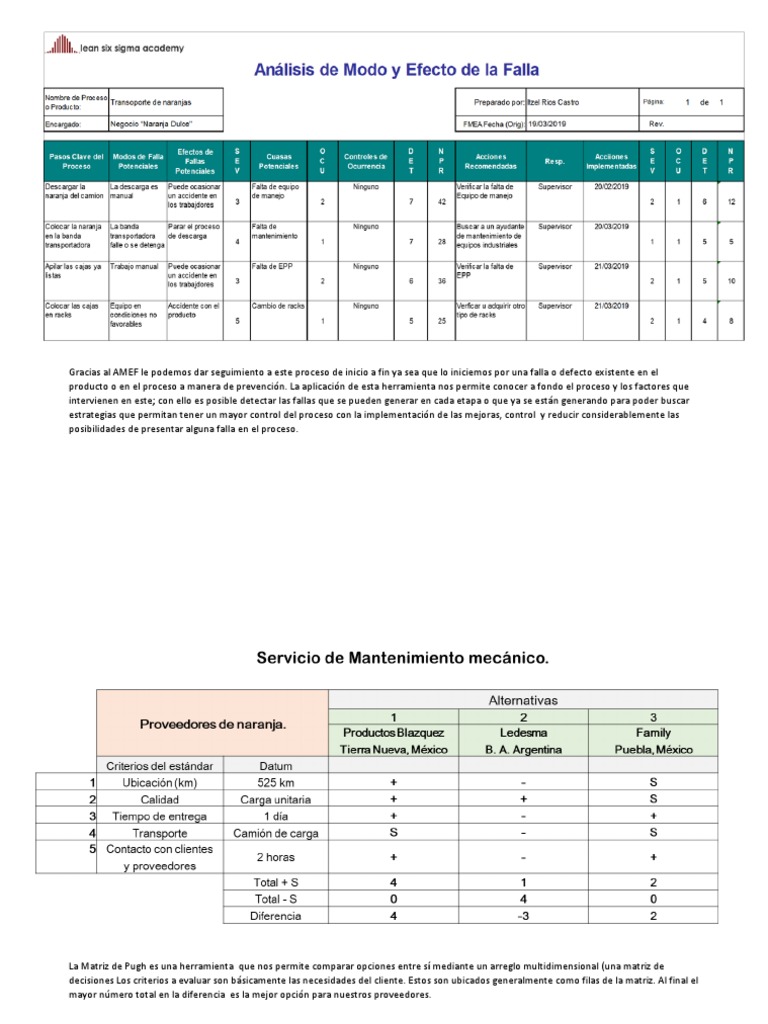 Amef y Matriz Pugh | PDF