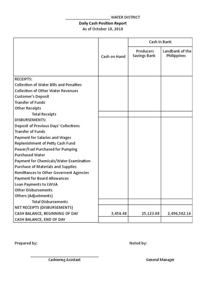 Daily Cash Position Report: Cashiering Assistant General Manager | PDF